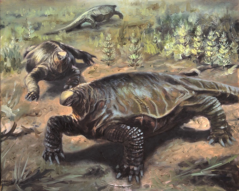 The proto-dinosaur of Torre del Porticciolo: fossils of a unique ...